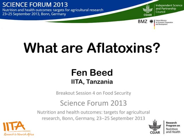 Aflatoxin A Fungal Toxin Infecting The Food Chain