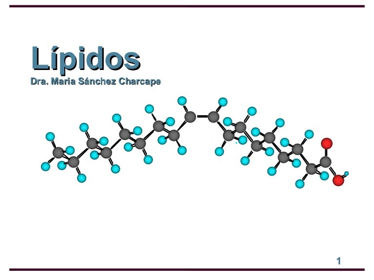 Los Lípidos on emaze