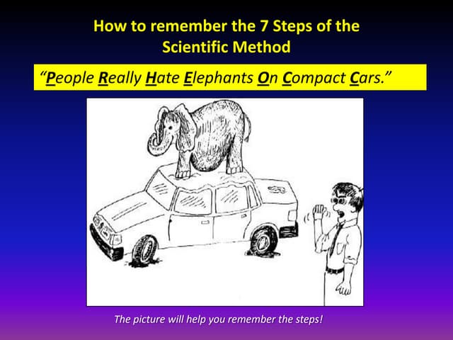 7th Grade Scientific Method Notes 7th-grade-scientific-method-notes