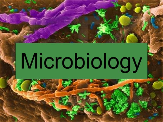Elements Of Microbial Nutrition Ecology