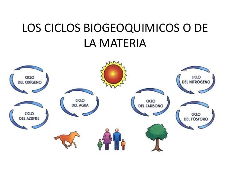 Aprendiendo los ciclos: INTRODUCCIÓN A LOS CICLOS BIOGEOQUÍMICOS