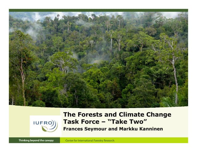 The forests and climate change task force: Take Two - CIFOR-ICRAF Knowledge