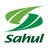 About Pain Balm by Sahul | PPTX