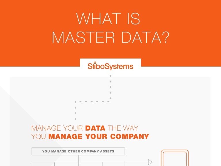 What is master data?