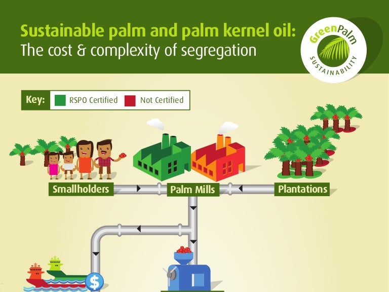 RSPO Sustainable palm & palm kernel oil - cost & complexity of segreg…