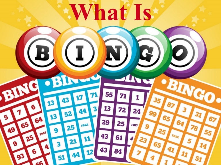 what-is-bingo