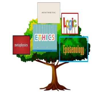 Branches of Philosophy - The Philosophy of the Human Person | PPTX