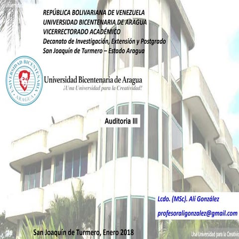 00 UJMV - AUDITORIA IV - 02 CONTENIDO PROGRAMATICO Y PLAN DE EVALUACION.pdf