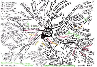 Mind maps pathology skin | PPT