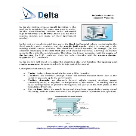 presentation on mould | PPT