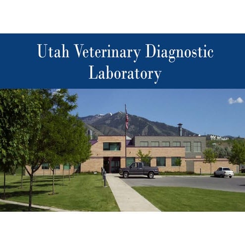 Utah Veterinary Diagnostic Laboratory | PPT