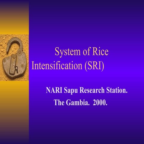 0002 System of Rice Intensification (SRI) | PPT