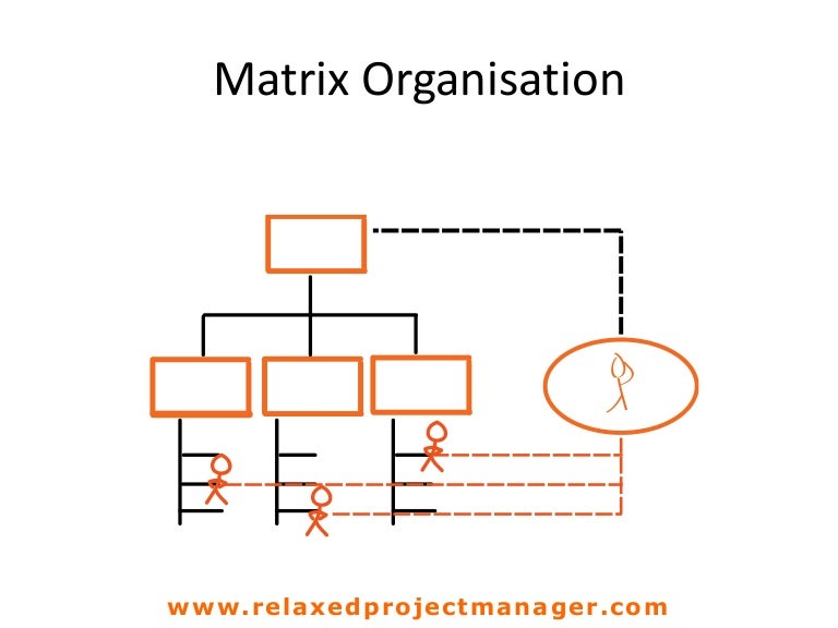 Matrix Organization