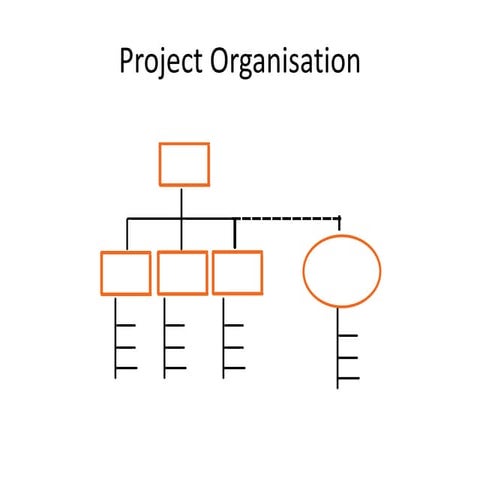 Project Organization | PPT