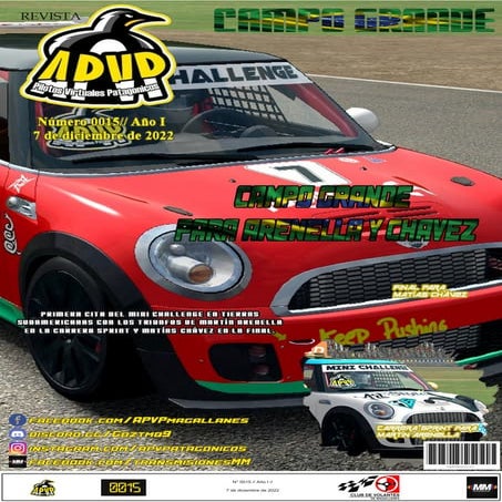 REVISTA APVP 0015 | PDF