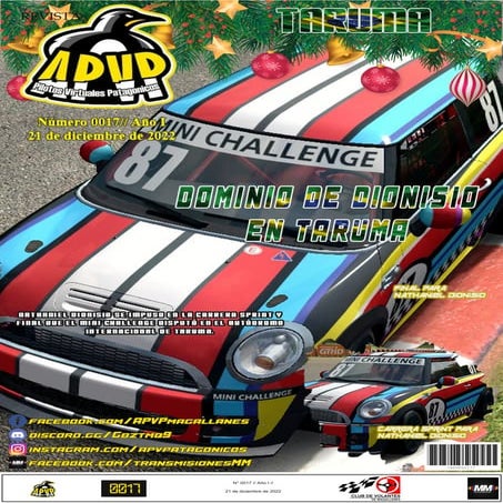 REVISTA APVP 0017 | PDF