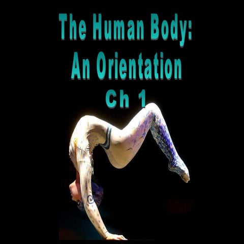 001 Human Body: An orientation. An Anatomy.ppt