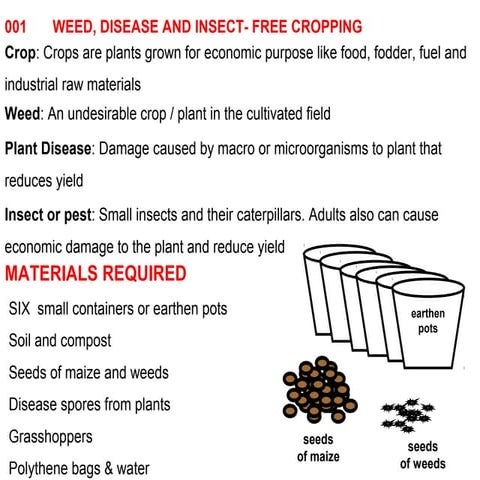 001 weed disease and insect free cropping | PPT