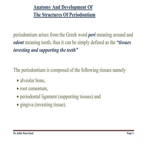002.anatomy and development of structures of PDL | PPT