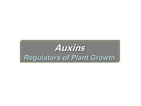 Biosynthesis of auxin[1] | PPT