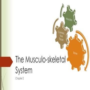 002 musculoskeletal | PPT