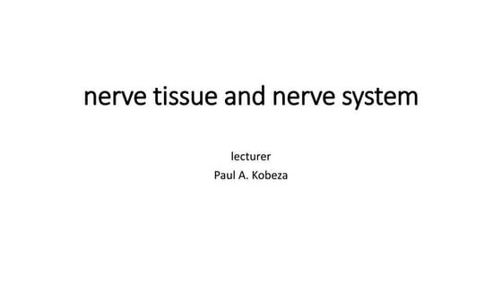 Nervous-System-Part-1.pdf of human body mbbs | PPT