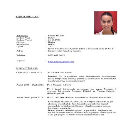 Gizem Bilen_CV | PDF