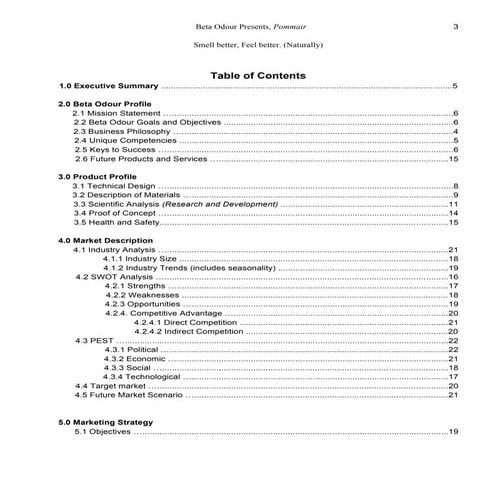 BetaOdour Business Plan_Edited | PDF