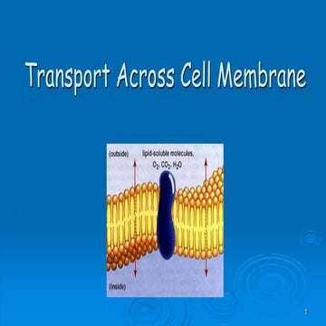Cell transport | PPT