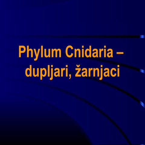 Dupljari | PPT