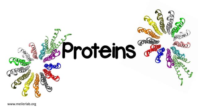 Ppt protein | PPT