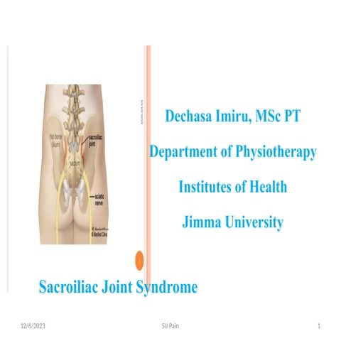004 Sacroiliac Joint Syndrome(sij) ppt.pptx