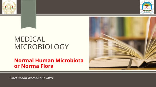 Normal Microflora of Human body | PPTX | Reproductive Health | Diseases ...