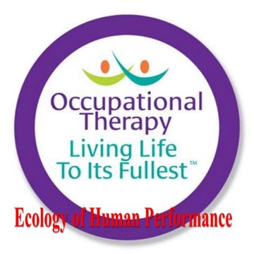 contexts and environments in occupational therapy | PPTX