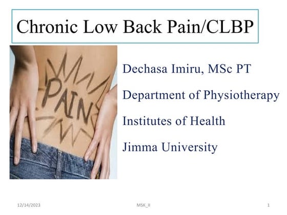 Chronic-Lower-Back-Pain-M.9299037.powerpoint.pptx