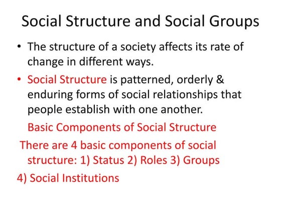 Social organization.pptx