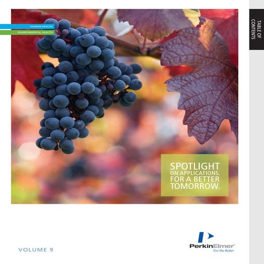 Spotlight on Analytical Applications e-Zine - Volume 2 | PDF