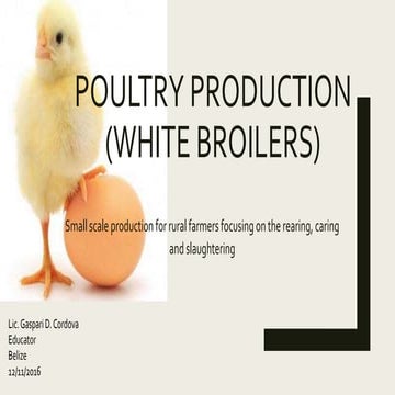 Poultry Production | PPTX