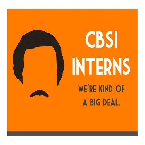 CBS Interactive UR Program Summer 2014_Navneet Singh | PDF