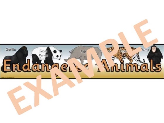 An endangered animal presentation | PPT