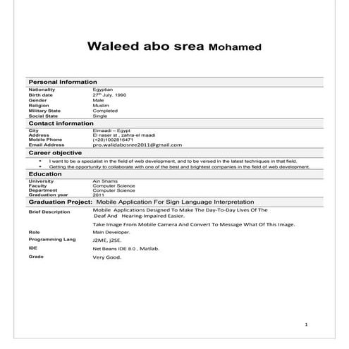 waleed-mohamed-CV | PDF