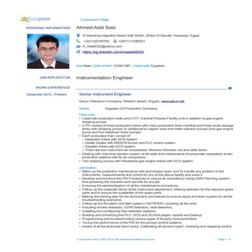 Mohamed Anis Ahmed 2 | DOCX