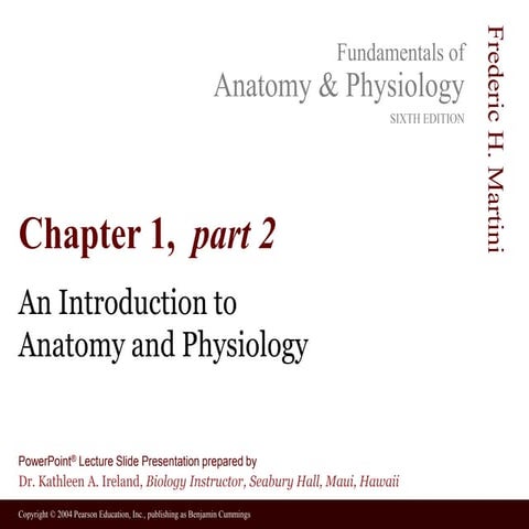 01-02_pptlect.ppt