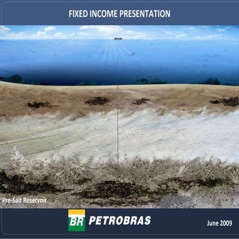 01.06.2009 Presentation of Investor Relations Executive Manager ...