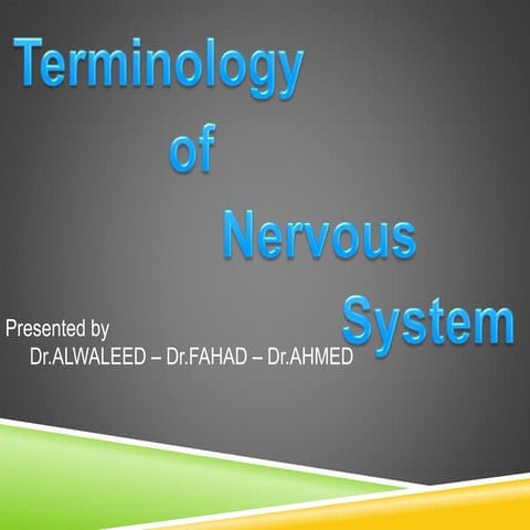 Terminology of Nervous System | PPTX