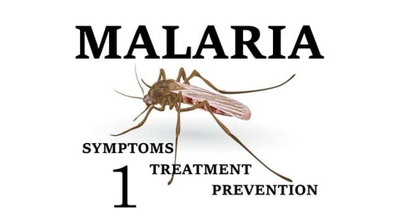 Biology investigatory project class 12 [malaria] | DOCX