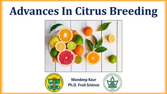 Cultivation practices of Citrus | PPTX | Agriculture | Industries