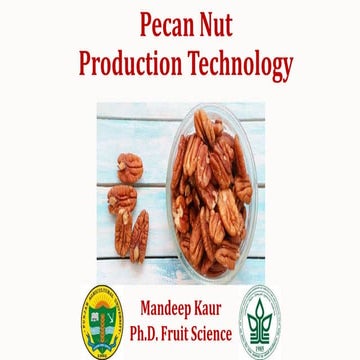 Pecan Nut | PPTX