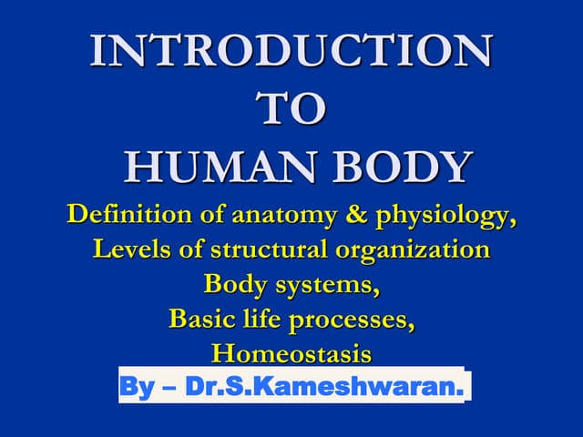 Chapter 1 notes Intro to Anatomy and Physiology | PPT