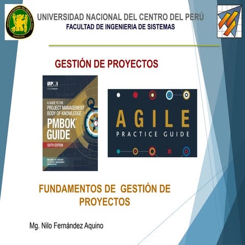 Gestión de Proyectos IT Modelo de trabajo | PDF